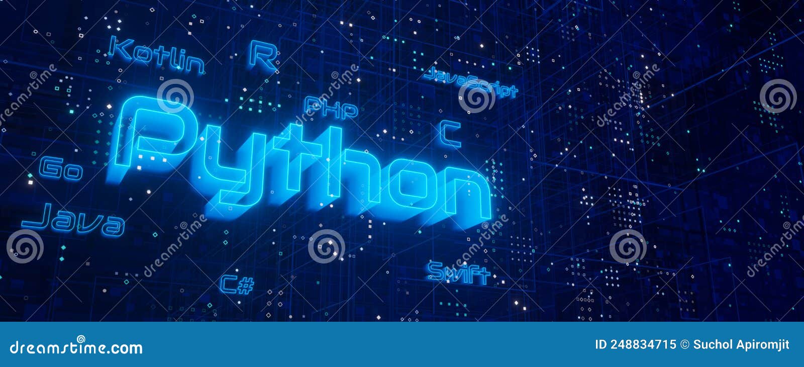 Panoramic View of Python Programming Language and Other Computer ...