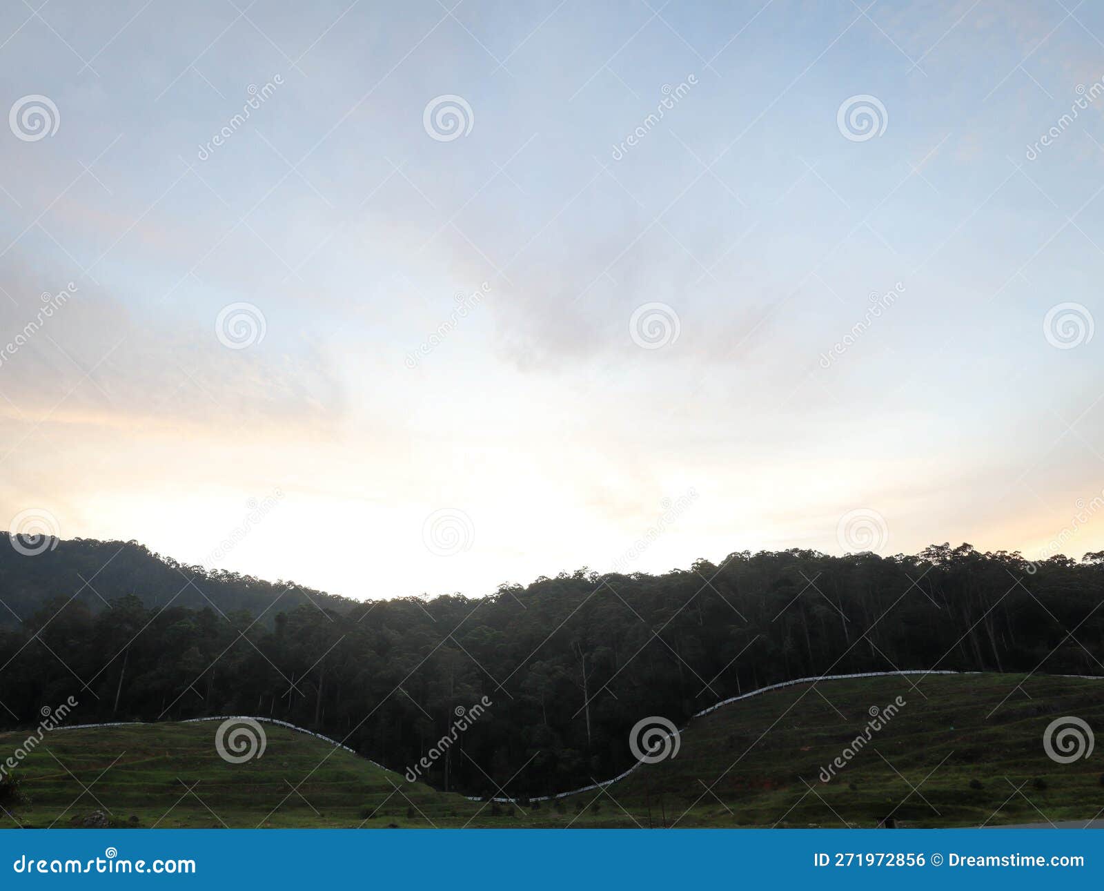 Panoramic View of a Rain Forest in the Morning Stock Photo - Image of ...