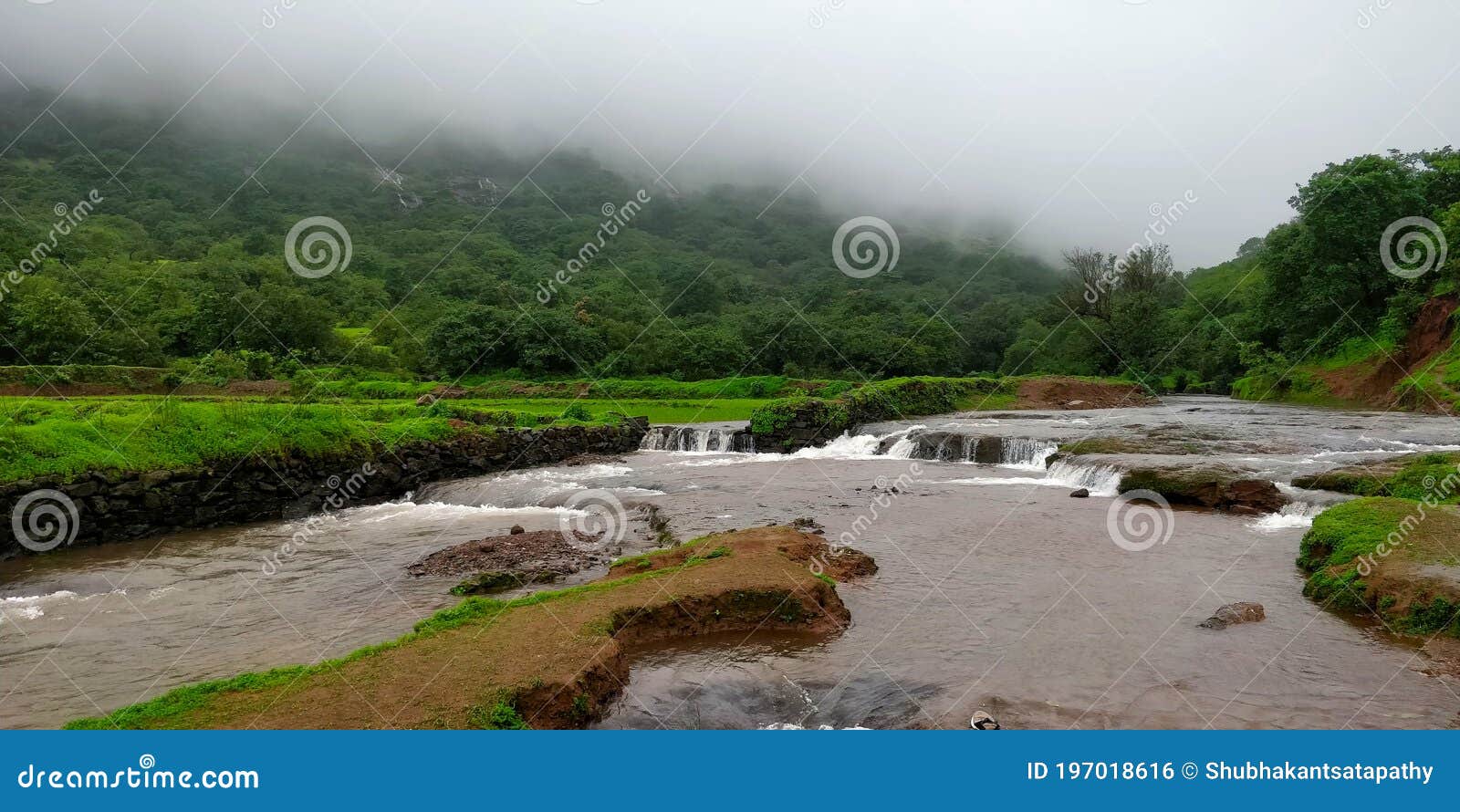 Panoramic View of Rainforest in the Monsoons Stock Photo - Image of ...