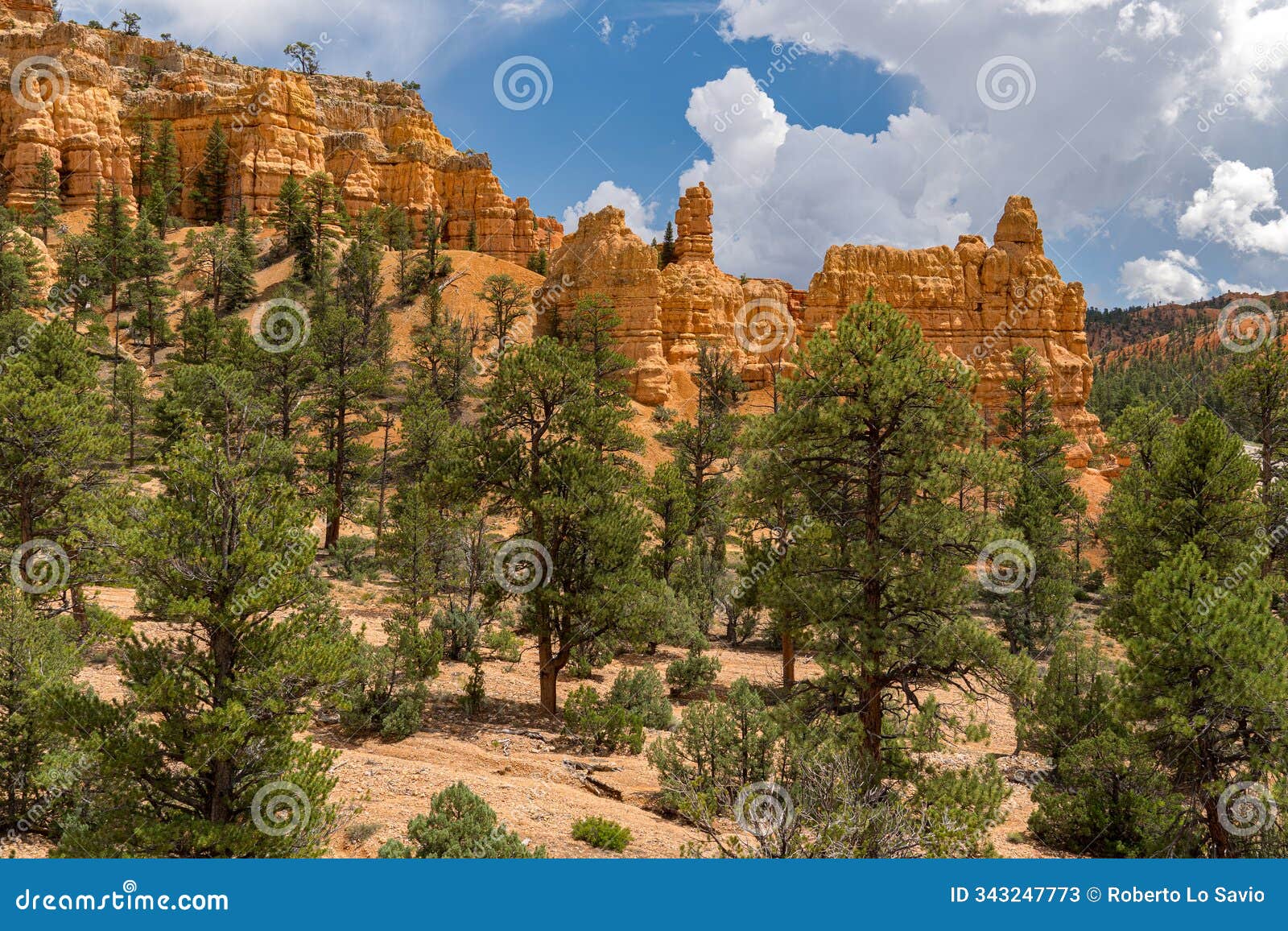 Panoramic View of the Red Canyon from the Birdseye Trail in Southern ...