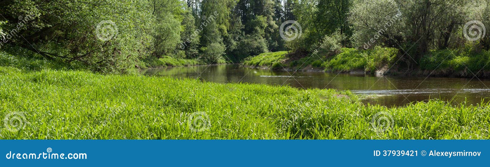 Panoramic View of River in Forest Stock Image - Image of outdoor ...