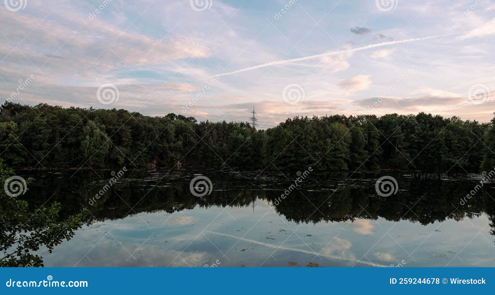 Panoramic View of the River Surrounded by Trees and Shrubs Stock Photo ...