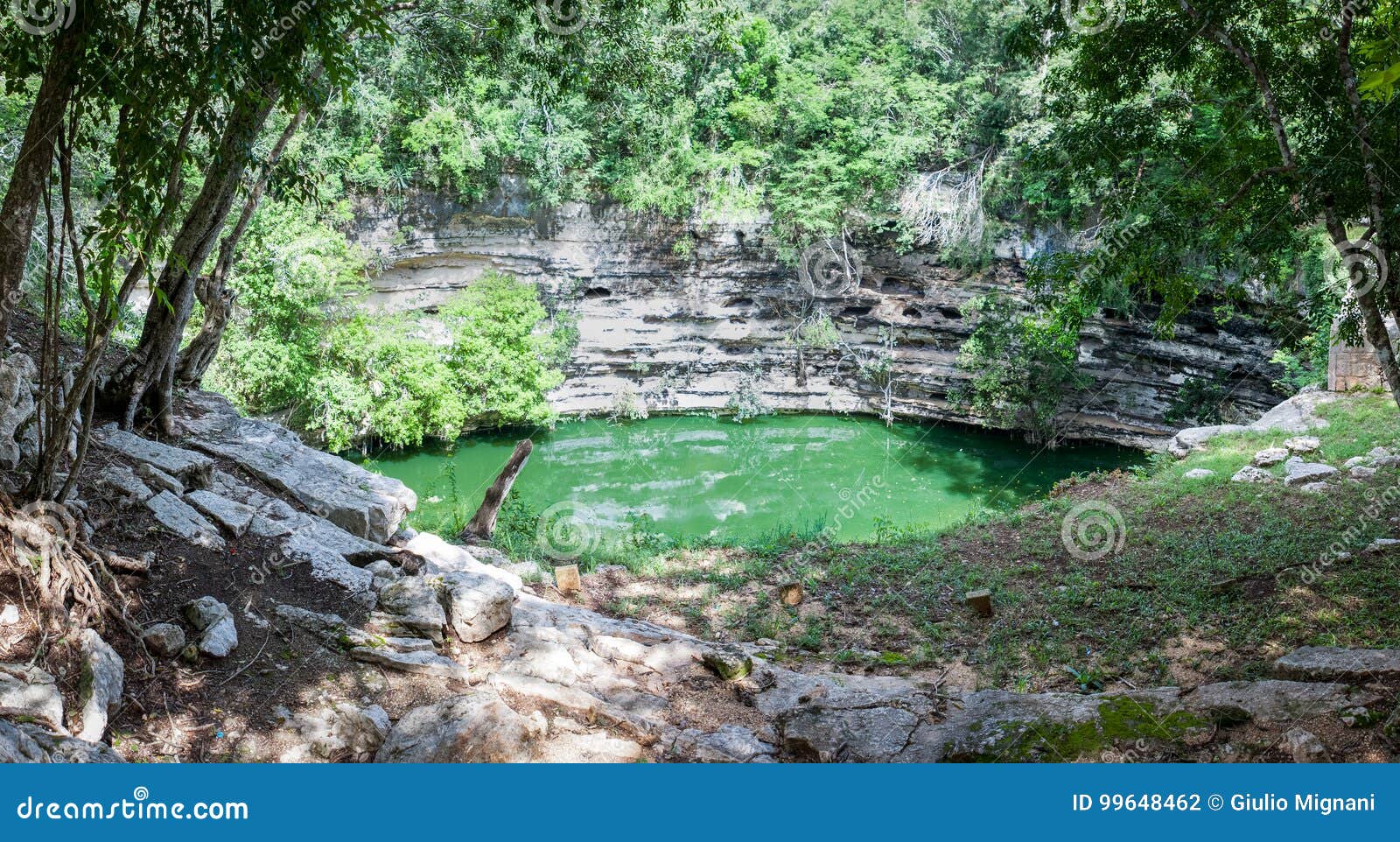 Sacred Cenote at Chichen Itza, Yucatan, Mexico Stock Photo - Image of ...