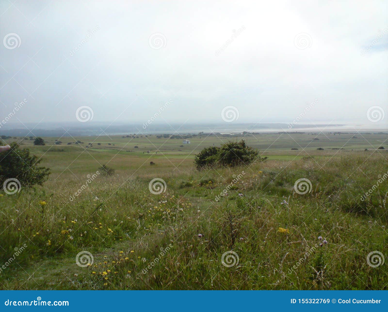 Panoramic View of Scottish Fields Stock Image - Image of thistles ...