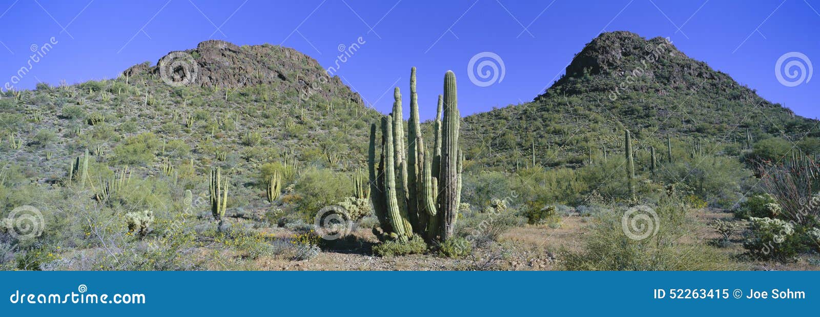Panoramic View of Springtime in Picachio Peak State Park North of ...