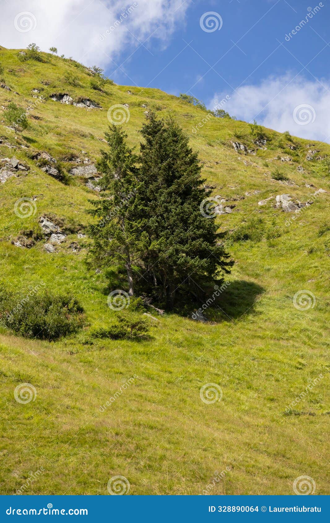 Panoramic View, Steep Peaks, Green Grass, Sharp Rocks Stock Photo ...