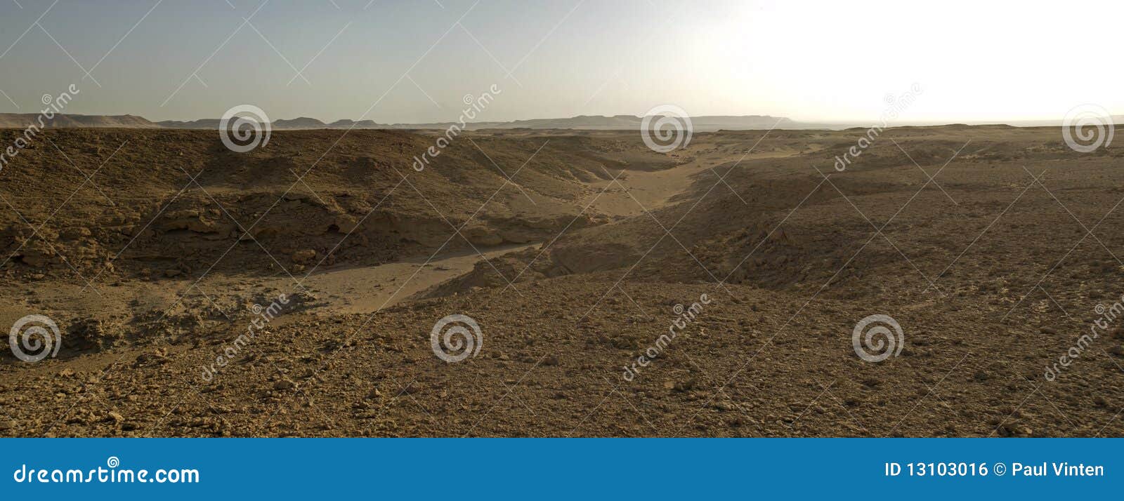 Panoramic View of a Stony Desert Landscape Stock Photo - Image of rock ...