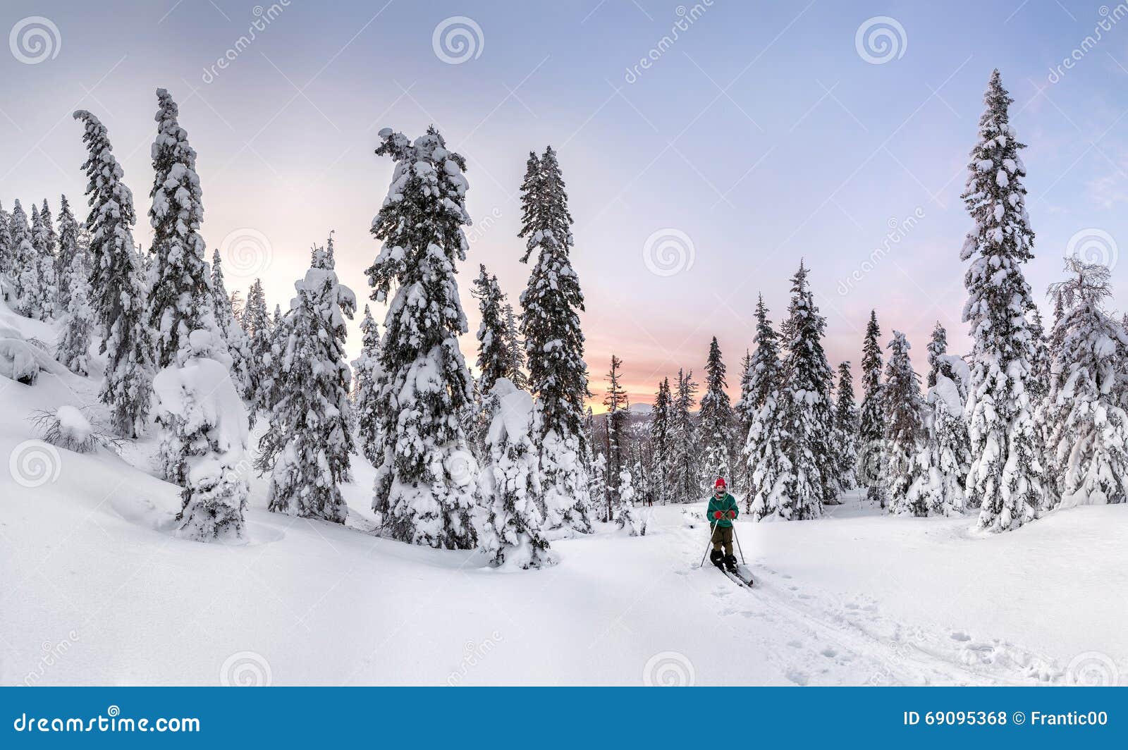 Panoramic View of Sunset in the Snowy Forest, with One Skier on the Ski ...