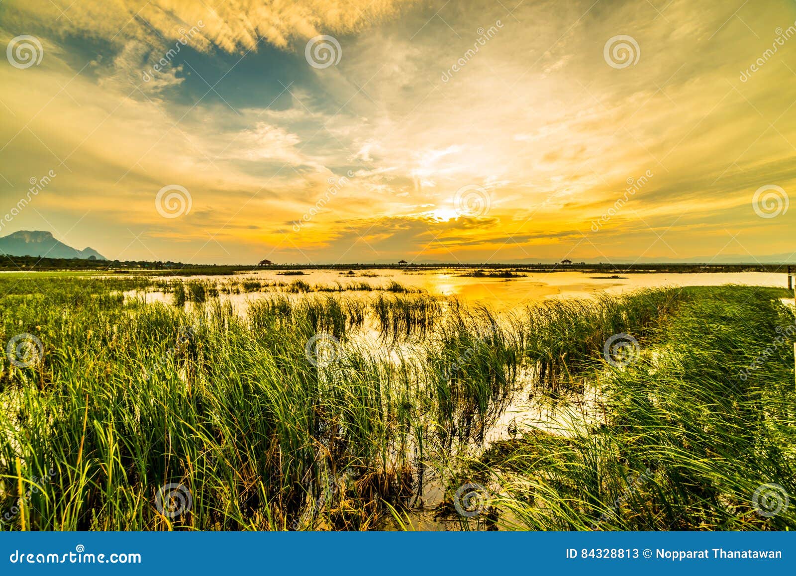 Panoramic view at sunset stock image. Image of summer - 84328813