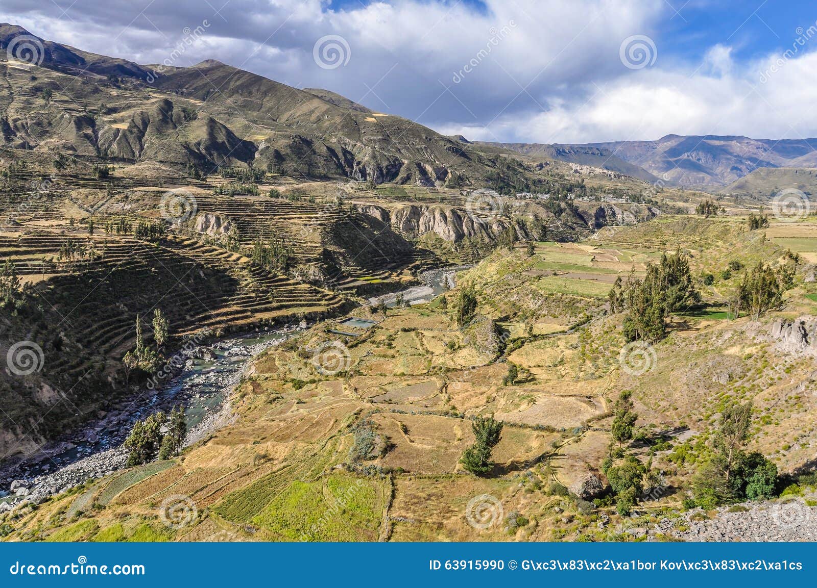 Panoramic View of the Terraces in the Colca Canyon, Peru Stock Photo ...