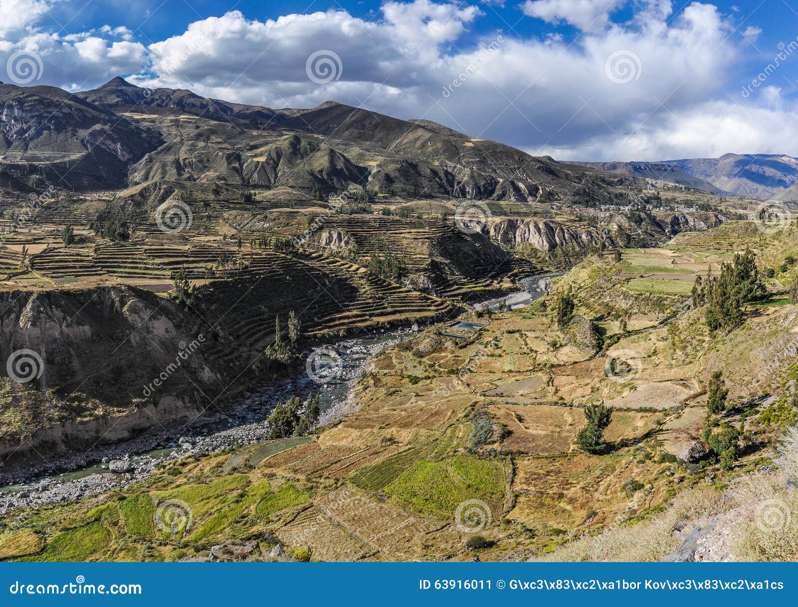 Panoramic View of the Terraces in the Colca Canyon, Peru Stock Image ...