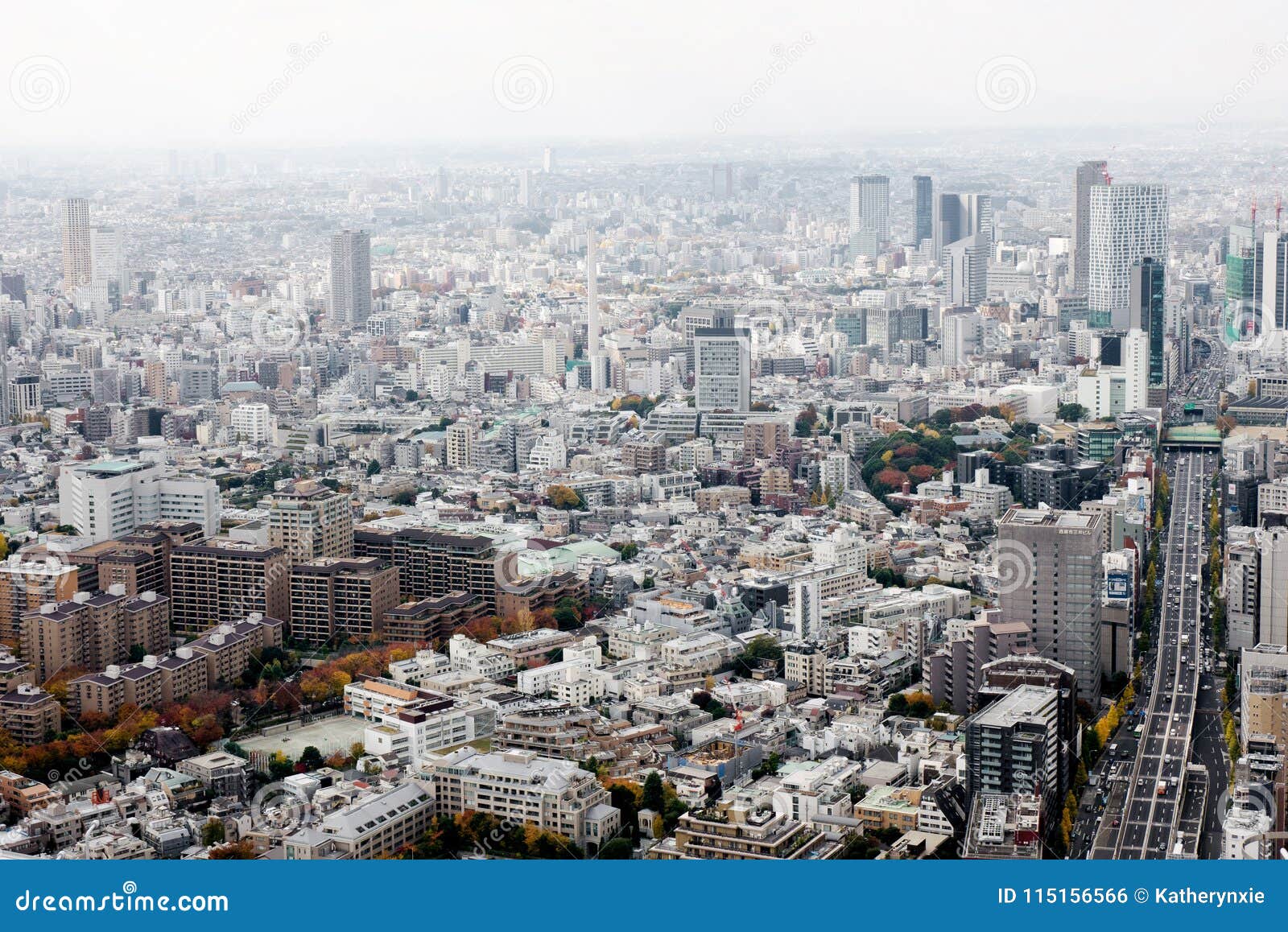 Panoramic view of Tokyo stock photo. Image of gallery - 115156566