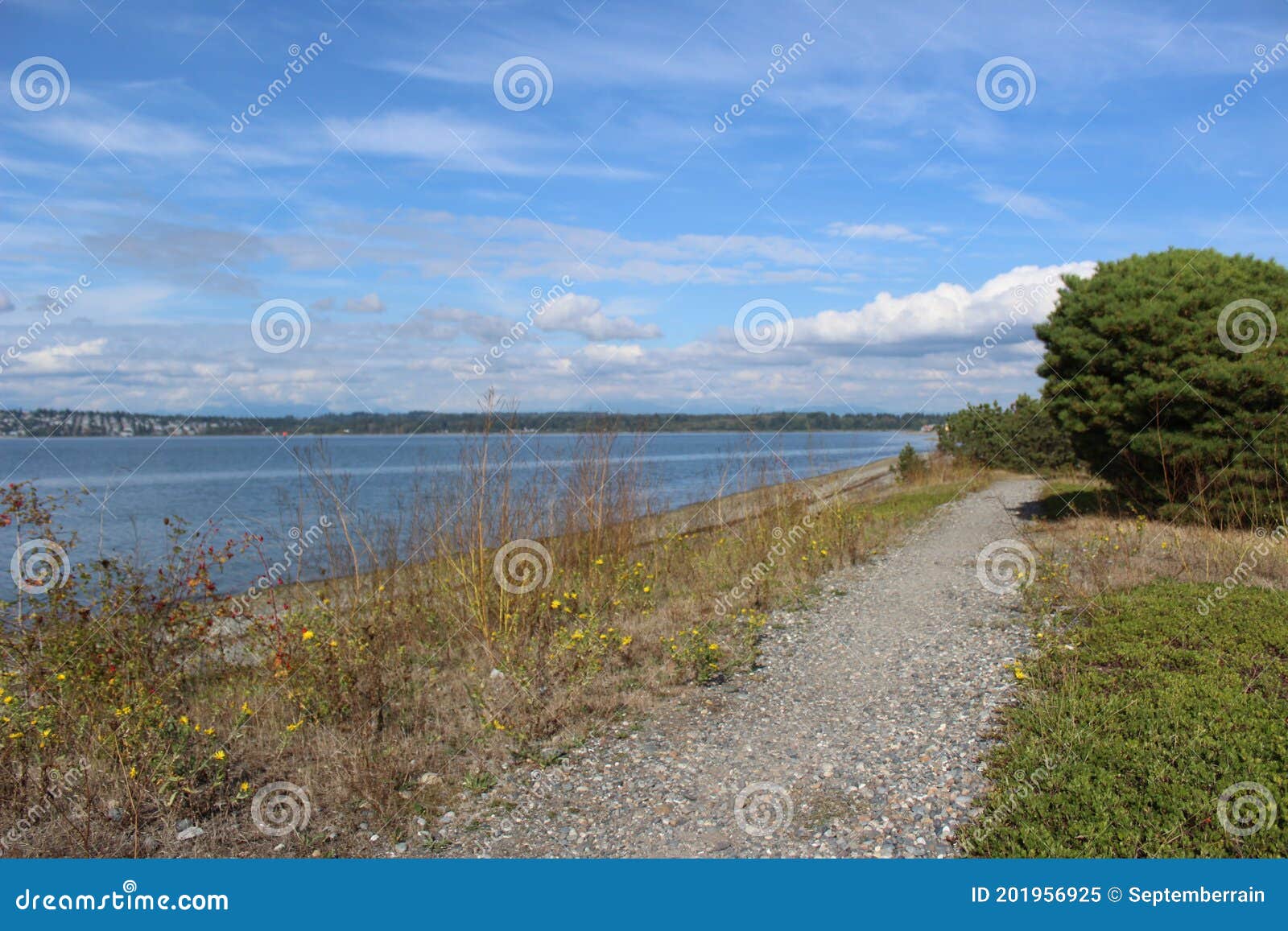 A Trail Along the Semiahmoo Spit in Late Summer Stock Image - Image of ...