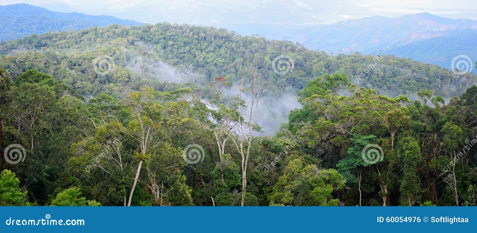 Panoramic View on Tropical Forest after Rain Stock Photo - Image of ...