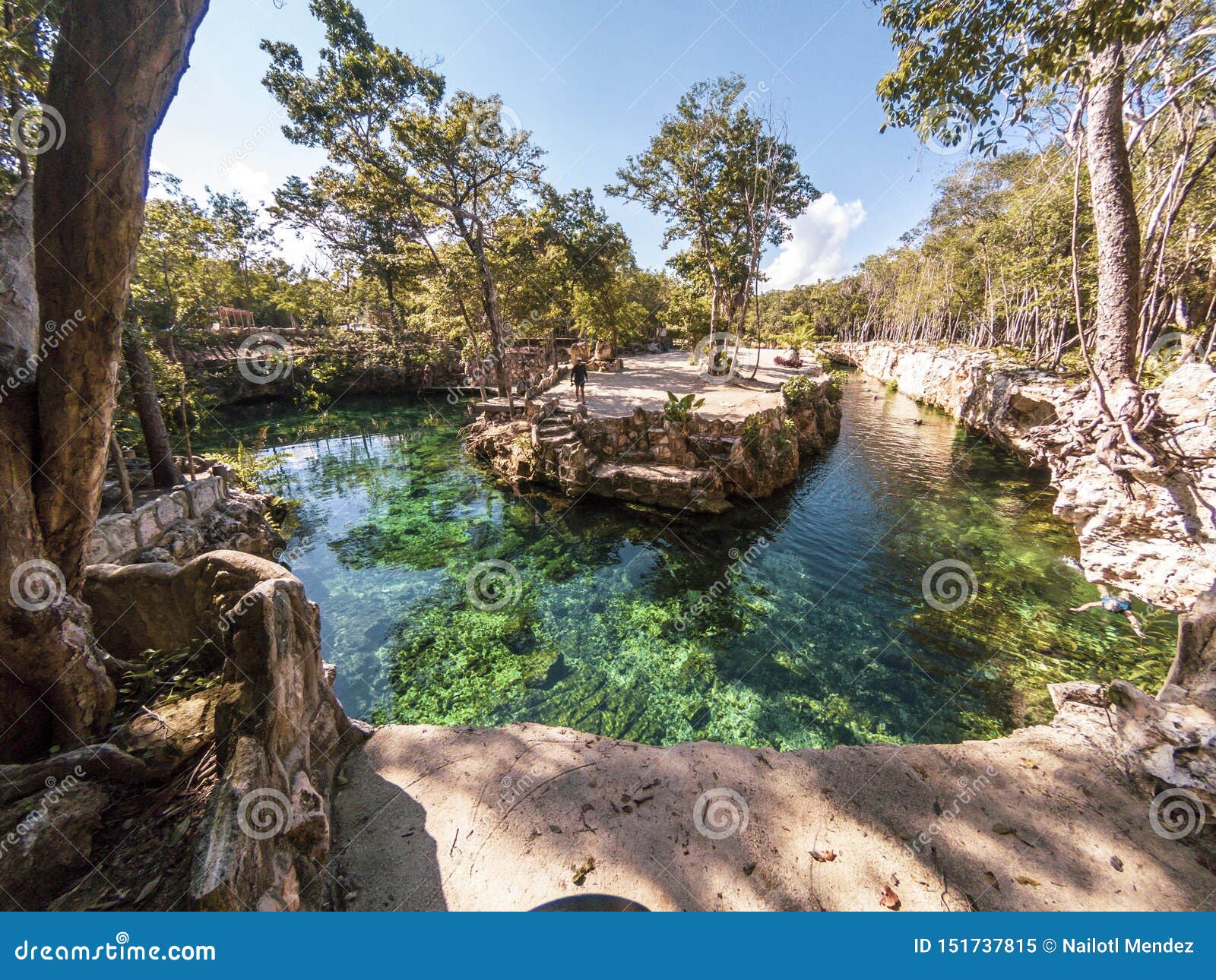Panoramic View of Turtle House Cenotes Tulum in Yucatan, Mexico ...
