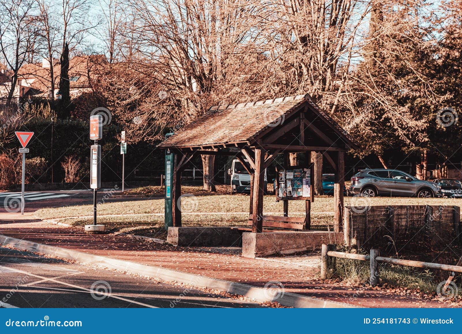 Panoramic View of a Wooden Canopy with Deciduous Trees on the ...