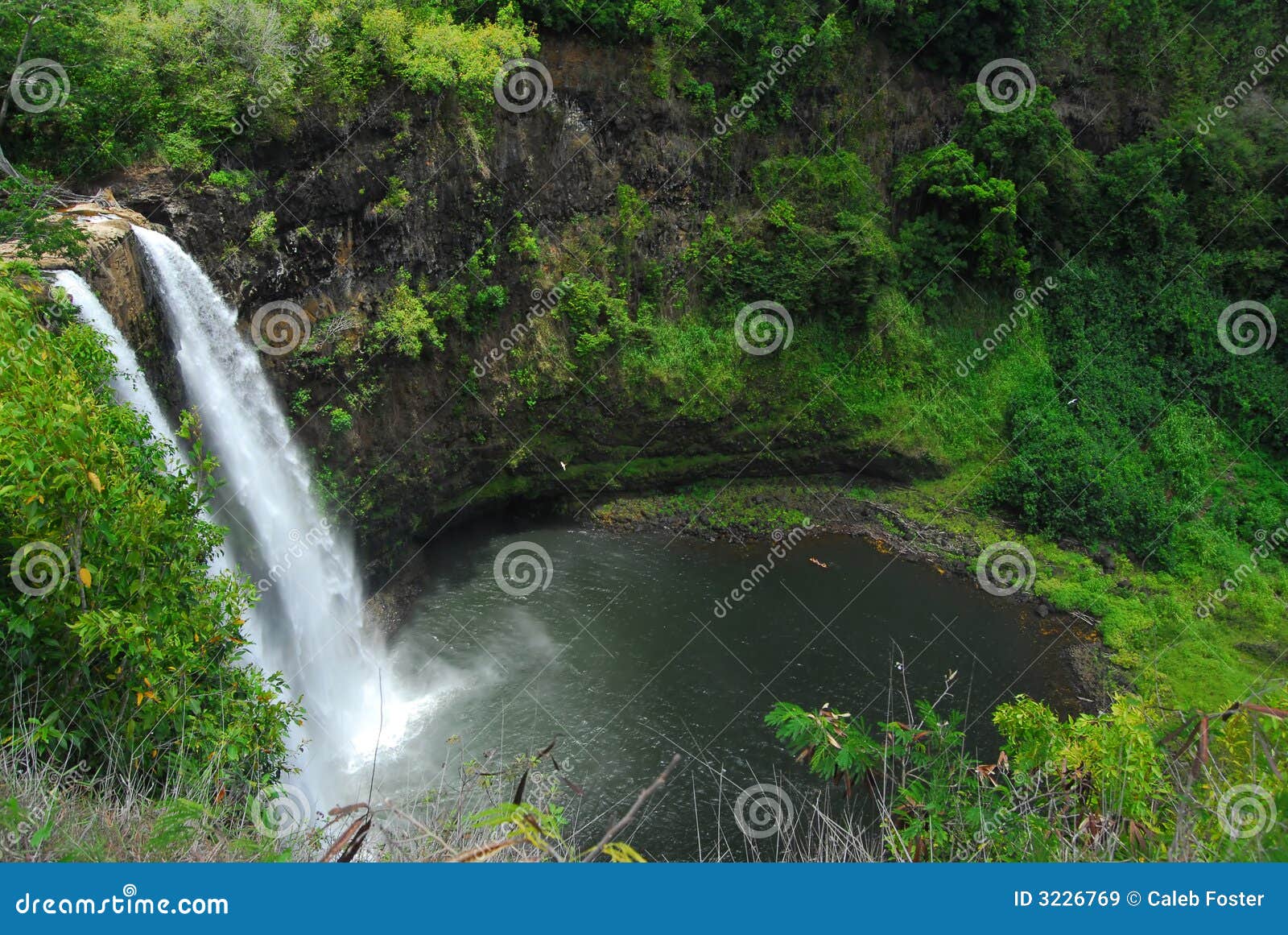 Panoramic Waterfall in Hawaii Stock Image - Image of palm, hibiscus ...