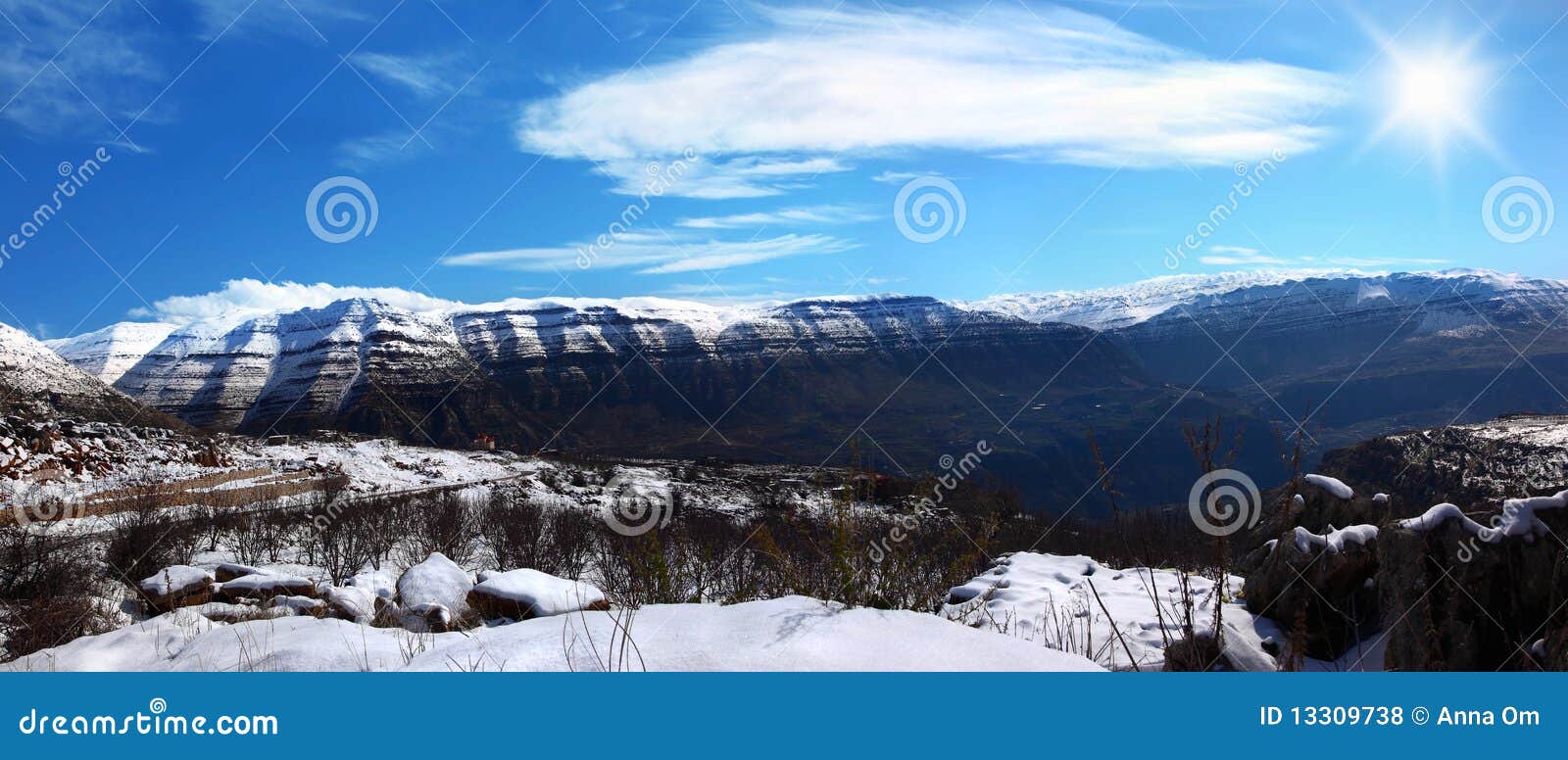 Panoramic winter landscape stock photo. Image of snow - 13309738