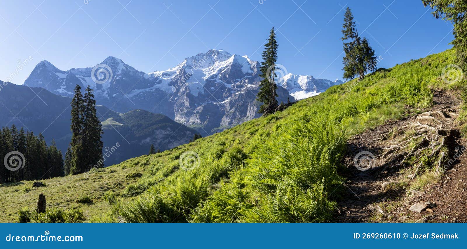 The Panorma of Bernese Alps with the Jungfrau, Monch and Eiger Peaks ...