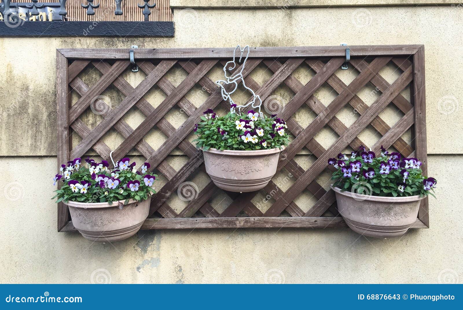 Pansee Flowers for Decorations Stock Image - Image of kyoto, hang: 68876643