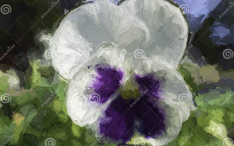 Pansie no óleo ilustração stock. Ilustração de branco - 82218151