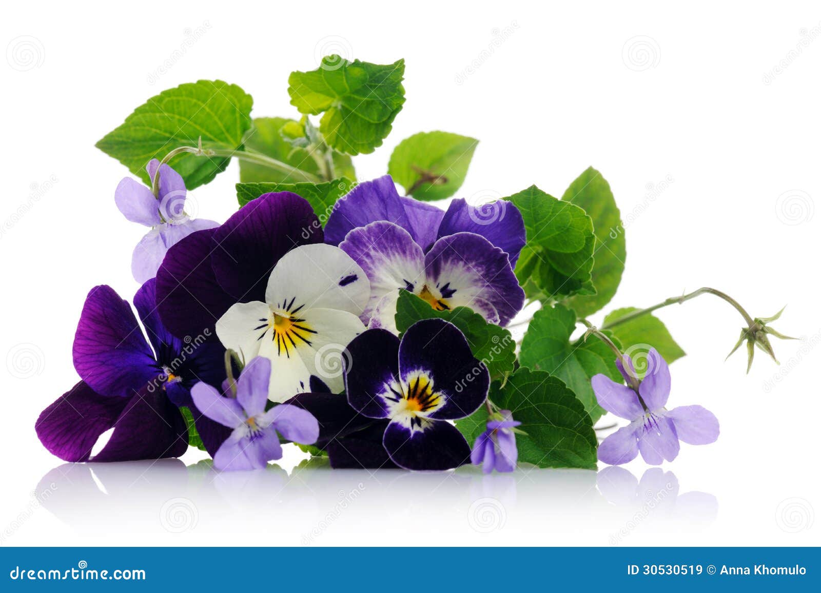 Pansies en viooltjes stock afbeelding. Image of mooi - 30530519