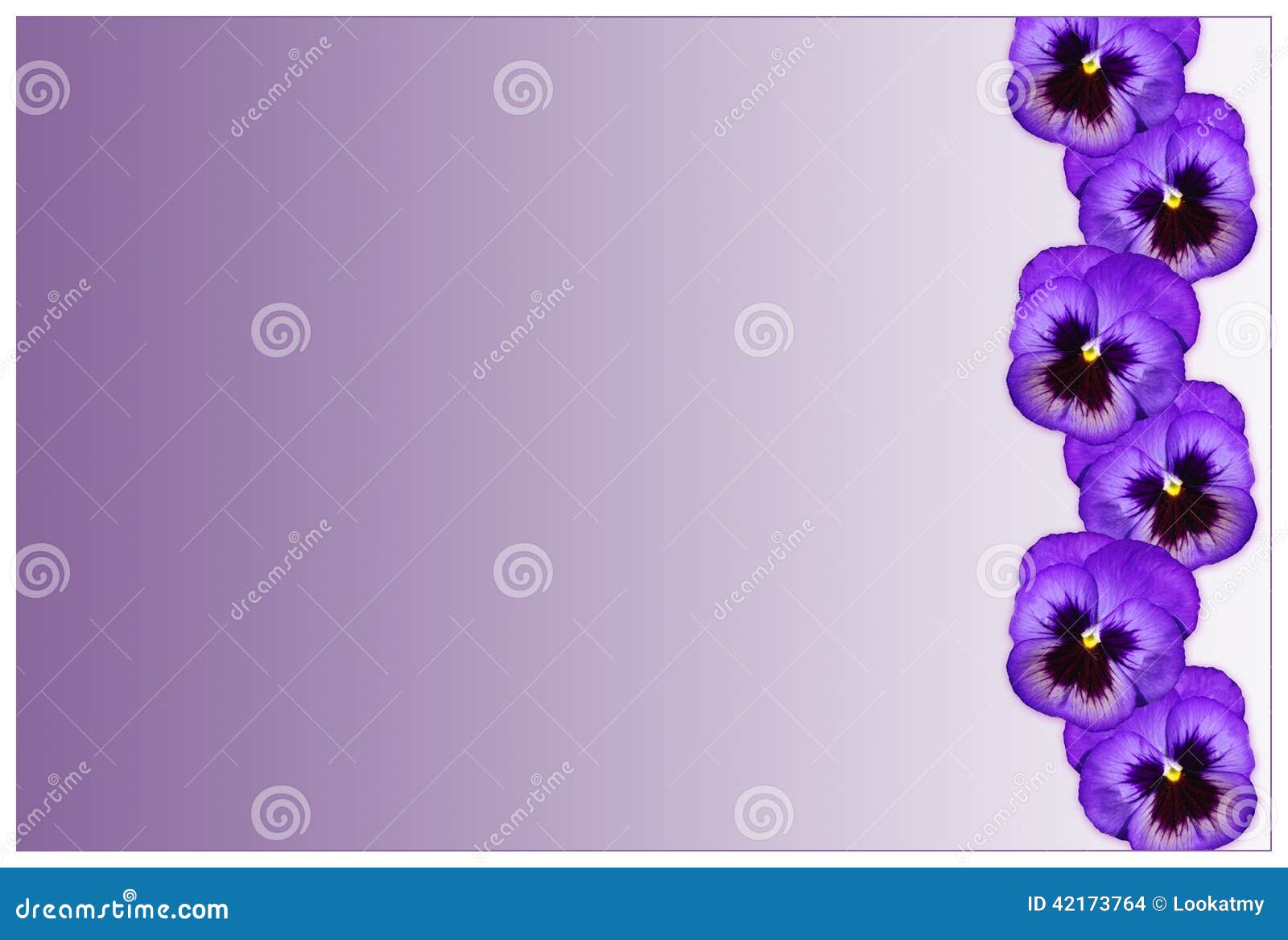 Pansy border stock photo. Image of pansy, decor, holiday - 42173764