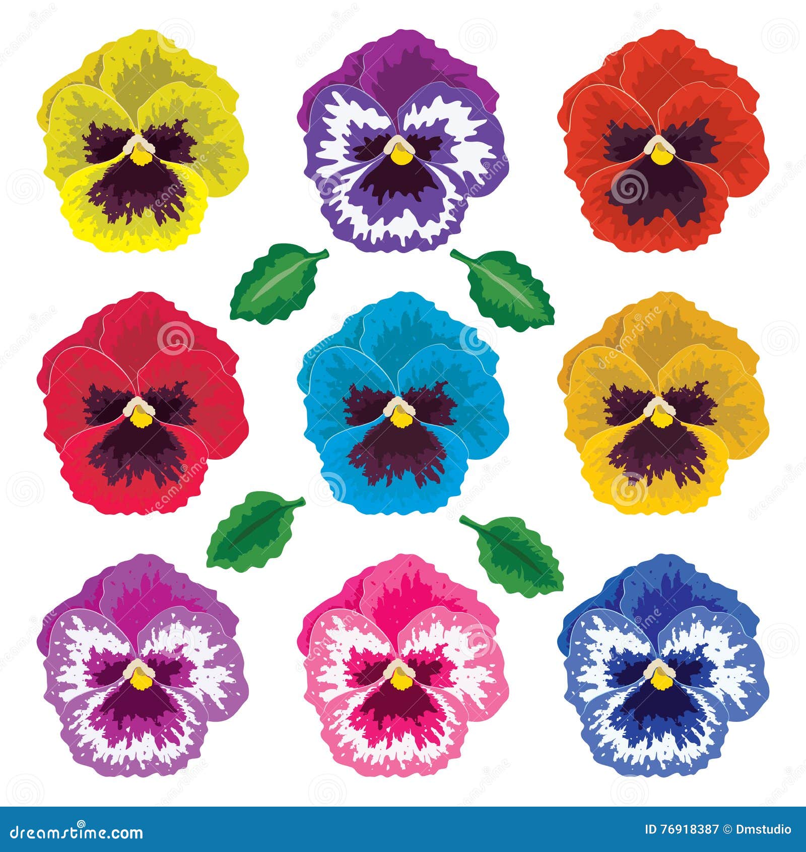 Pansy flowers, vector stock vector. Illustration of object - 76918387