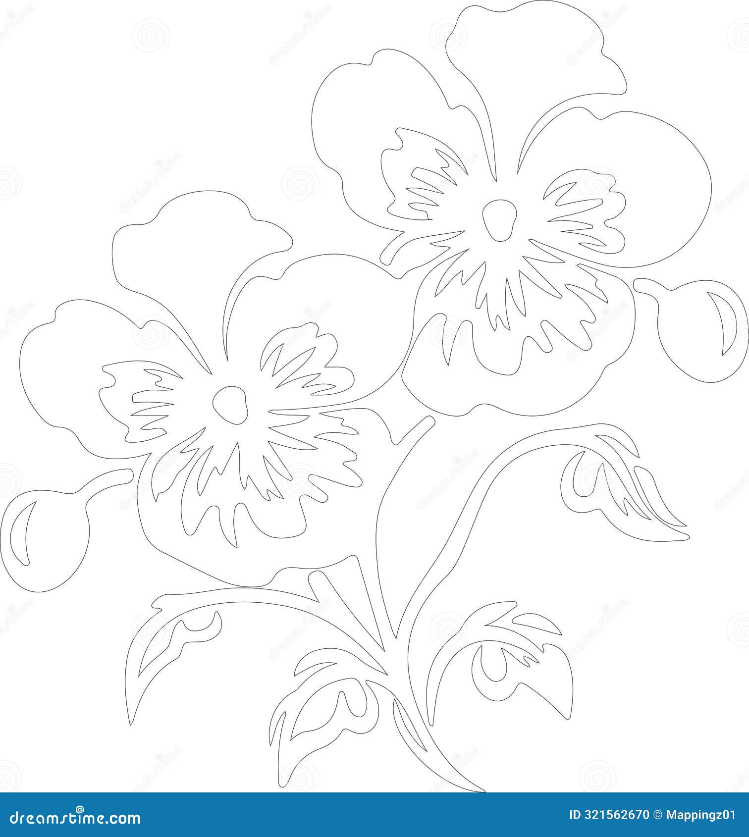 Pansy Outline Coloring Picture Cartoon Vector | CartoonDealer.com #41724471