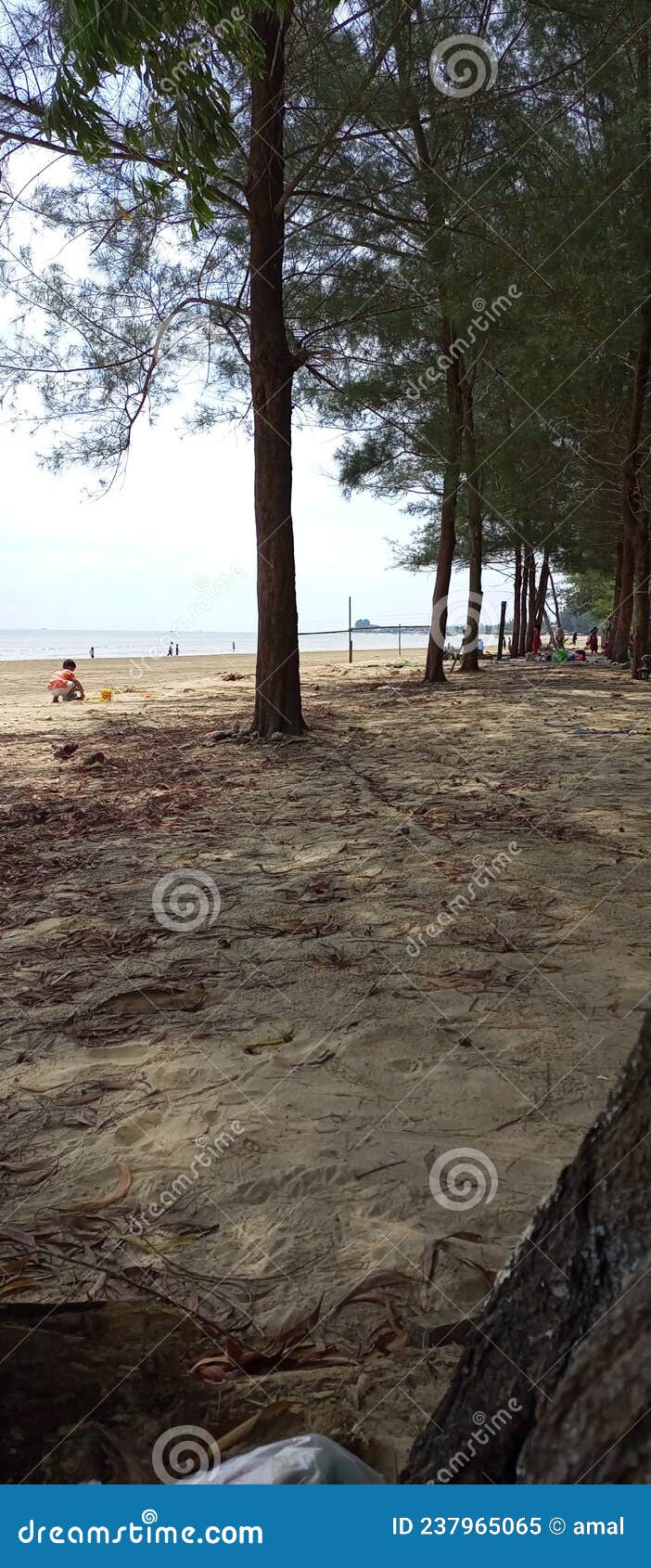 Pantai yang indah stock image. Image of beach, park - 237965065