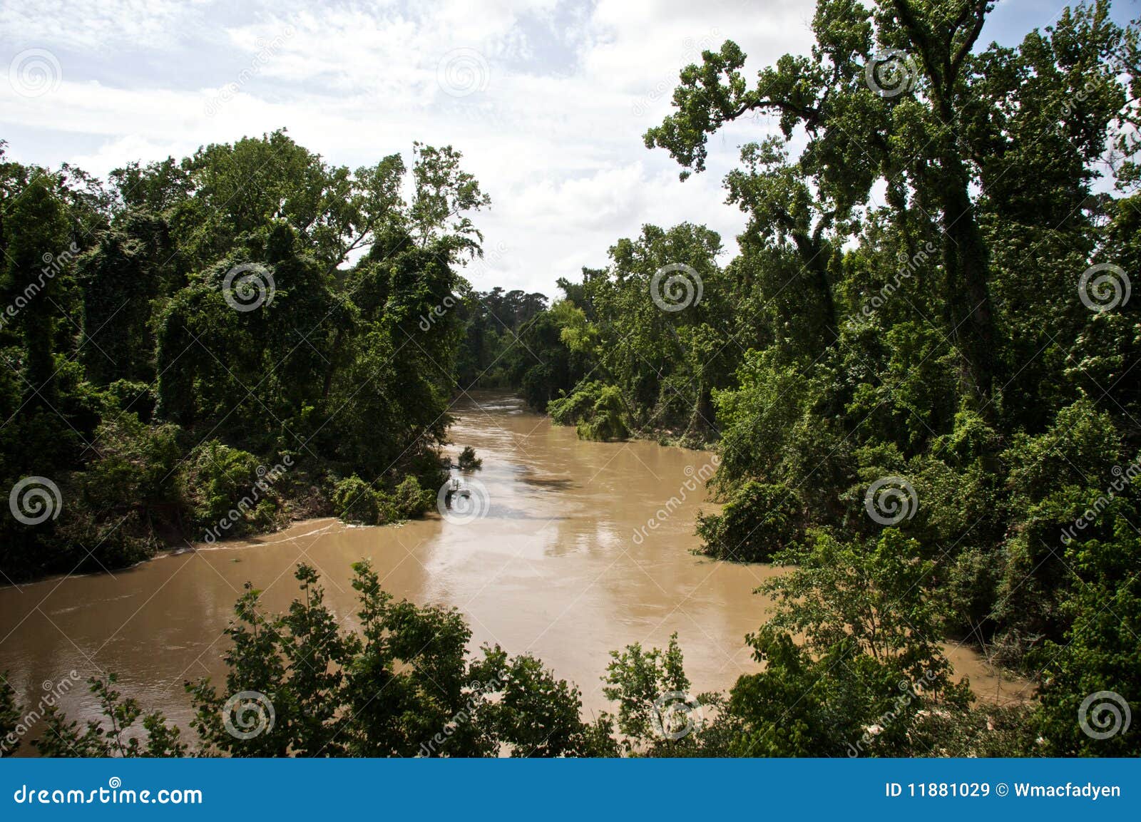 Pantano imagen de archivo. Imagen de paisaje, houston - 11881029