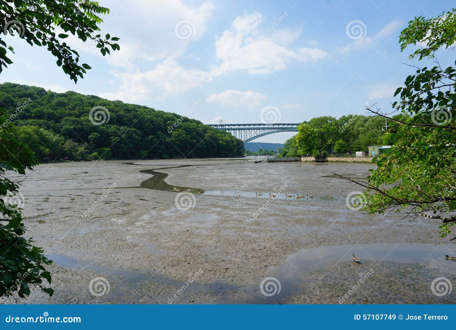 Pantano 11 de Muscota imagen de archivo editorial. Imagen de adyacente ...