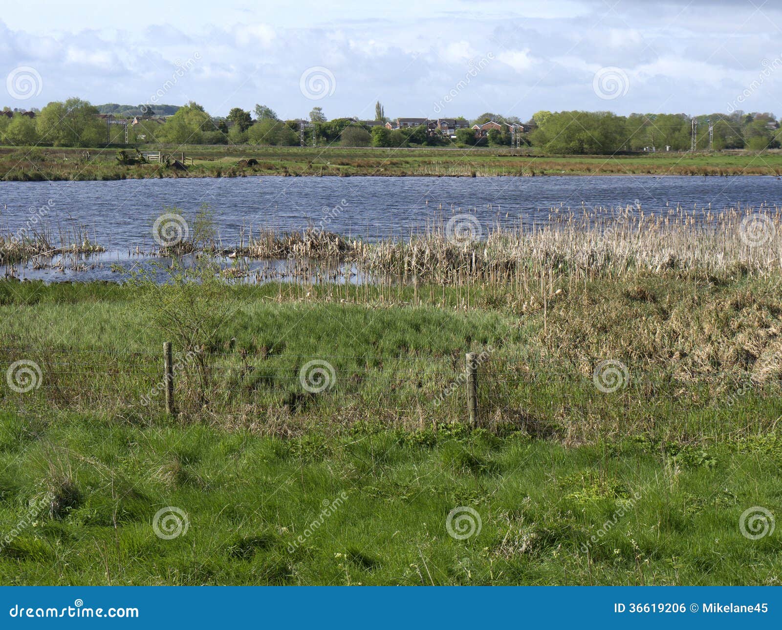 Pantanos de Doxey foto de archivo. Imagen de cubo, fauna - 36619206