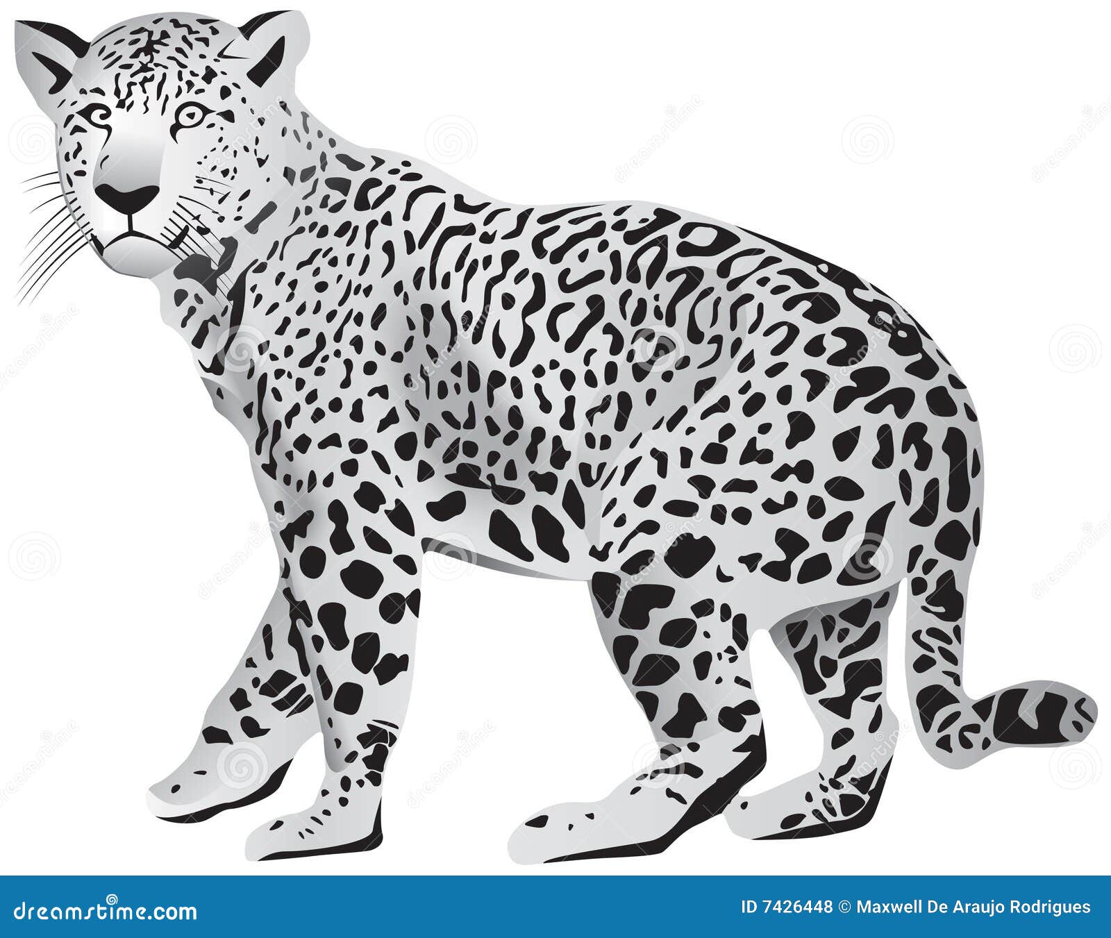 Panter Illustration Stock Photography | CartoonDealer.com #7426448