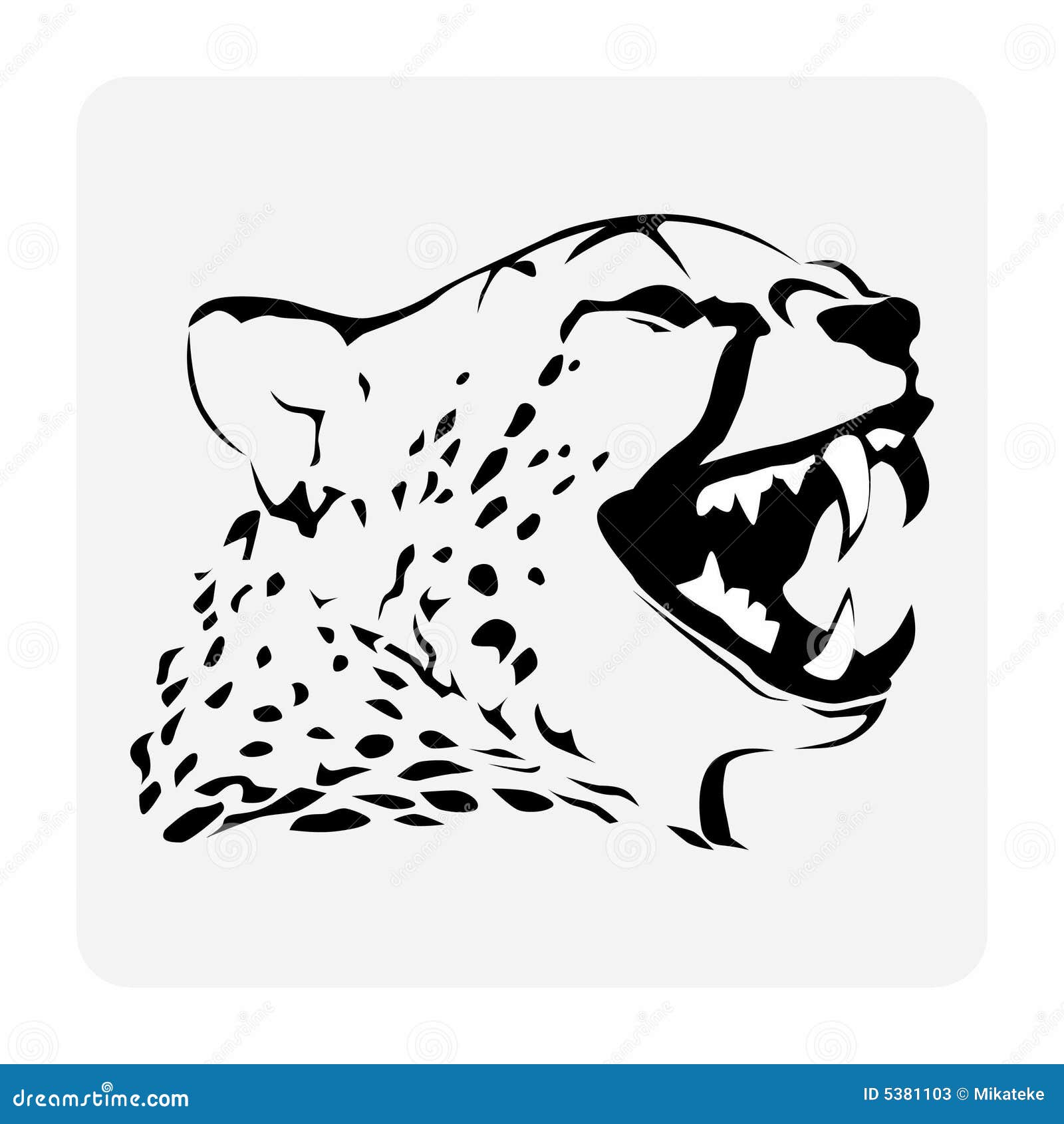 Panther stock vector. Illustration of leopard, teeth, feline - 5381103