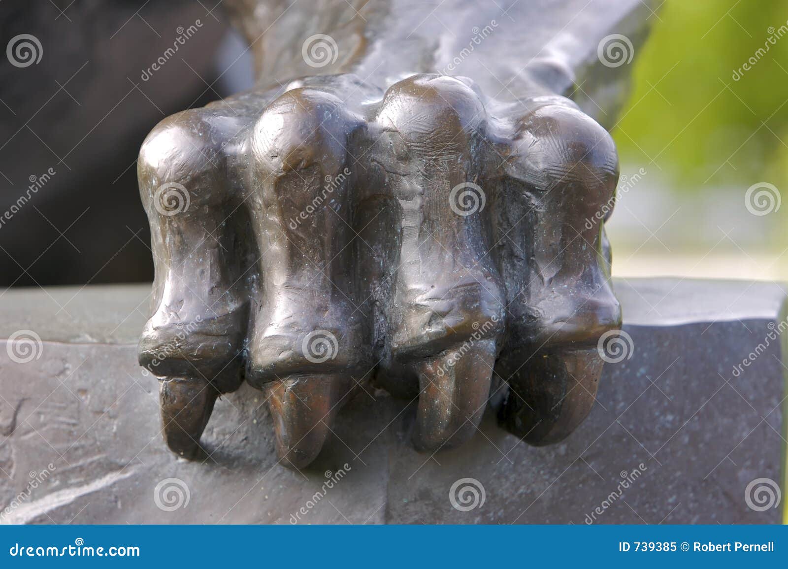Panther Claw stock image. Image of college, powerful, mountain - 739385