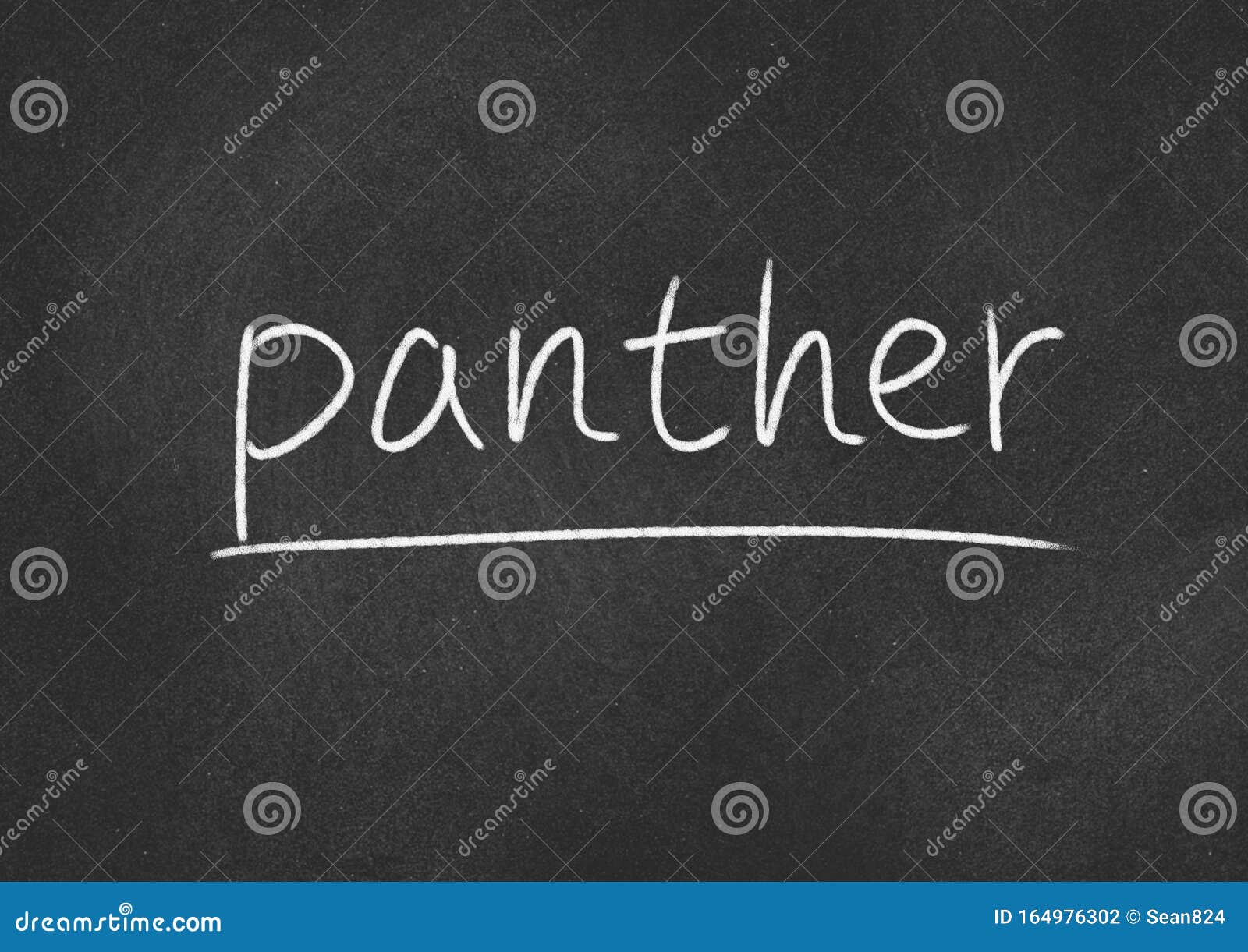 Panther stock photo. Image of abstract, chalkboard, education - 164976302