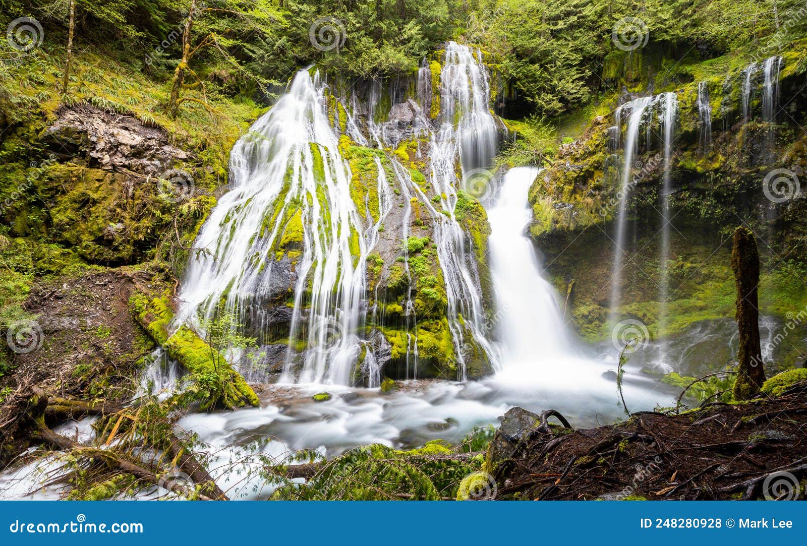 Panther Creek Falls, Carson Washington Stock Photo - Image of park ...