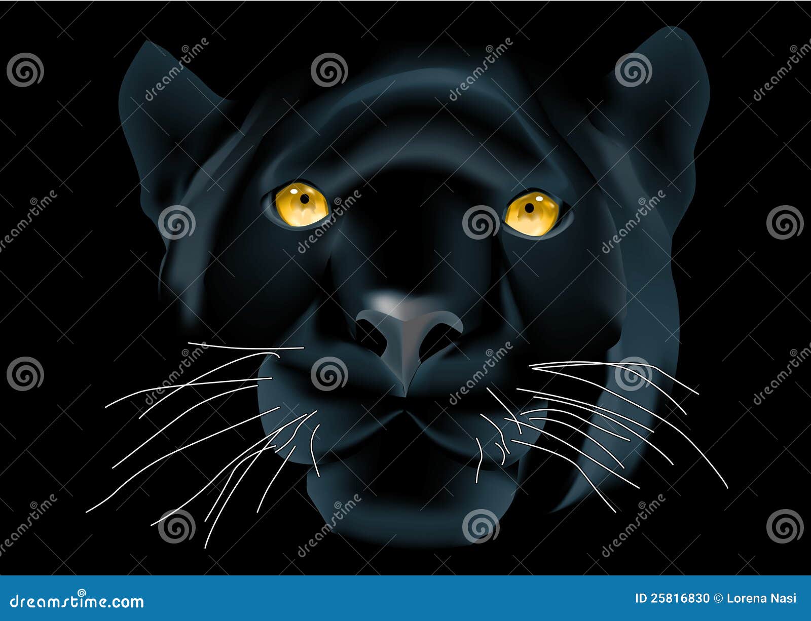 Panther face stock vector. Illustration of pretty, zoology - 25816830