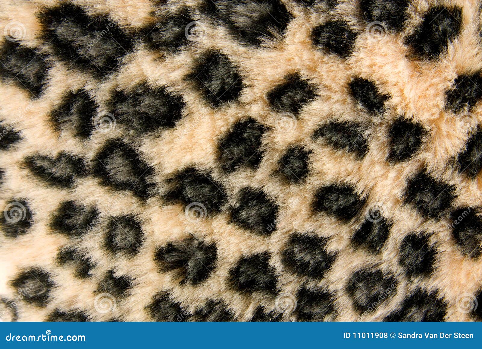Panther fur pattern stock photo. Image of africa, hair - 11011908
