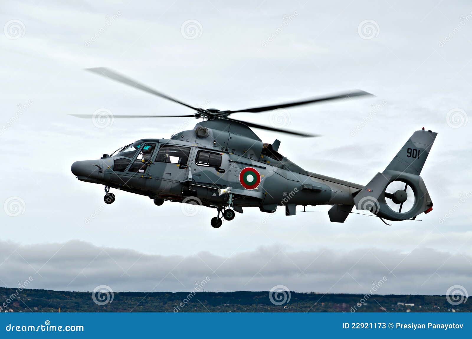 Panther helicopters editorial stock photo. Image of multirole - 22921173