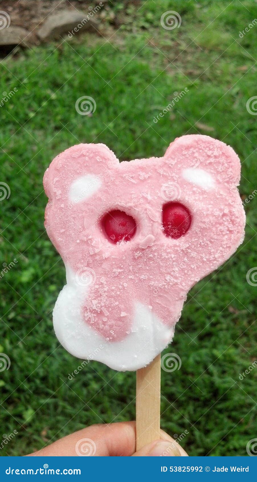 Panther stock photo. Image of treat, pink, sweets, panther - 53825992