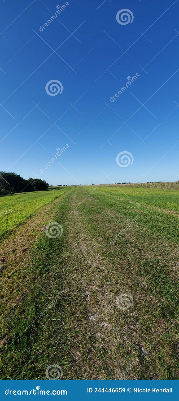 Panther Point Trail stock image. Image of plain, plant - 244446659