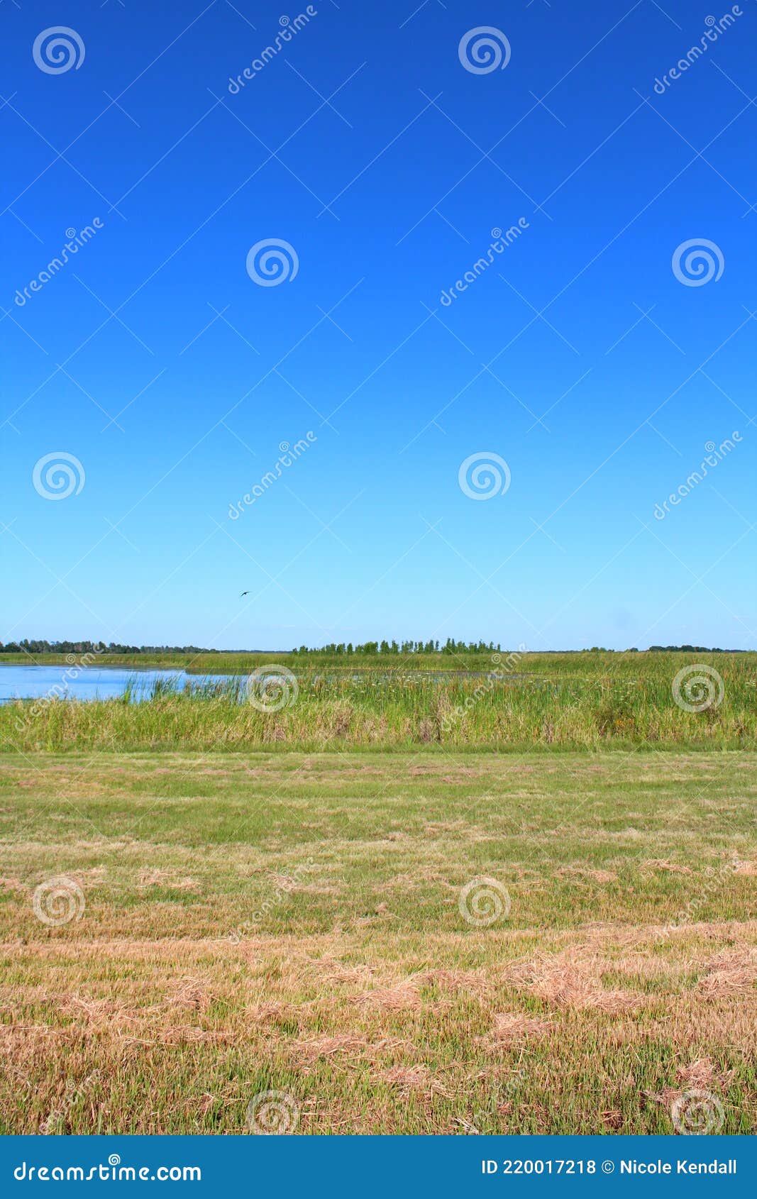 Panther Point Trail at Lake Hancock Stock Photo - Image of hill, plain ...