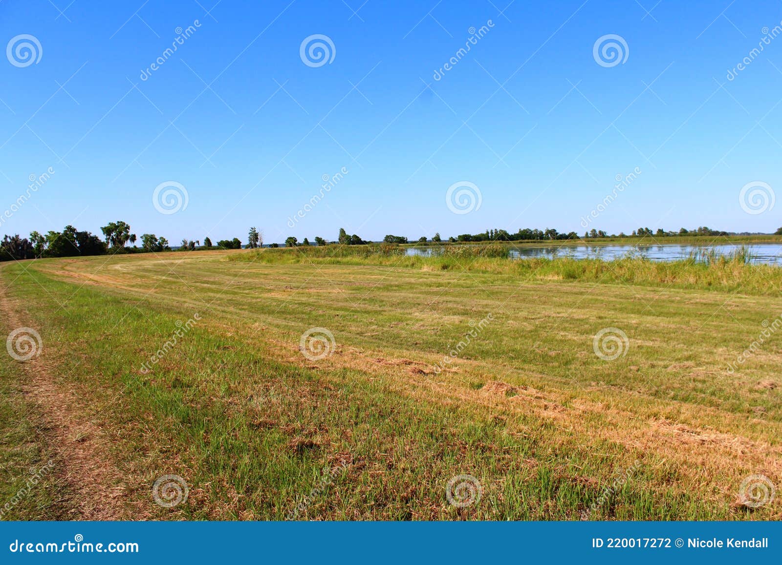 Panther Point Trail at Lake Hancock Stock Photo - Image of grassland ...