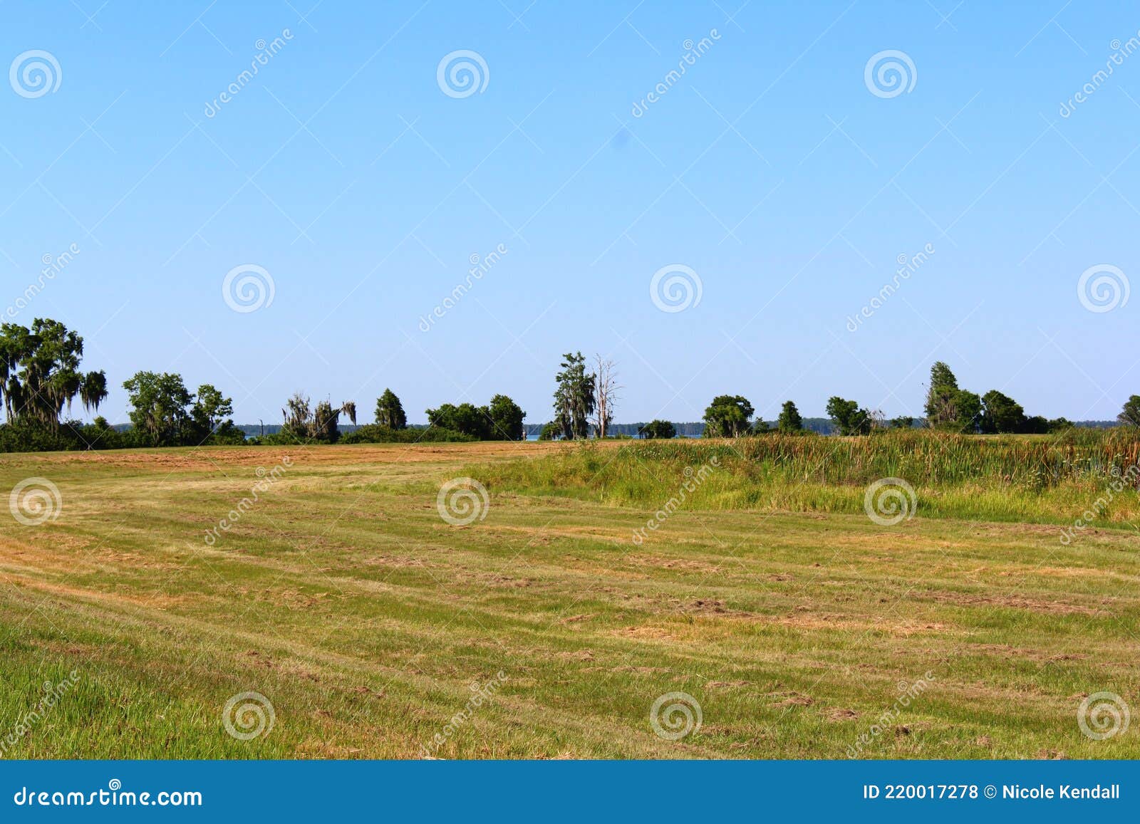 Panther Point Trail at Lake Hancock Stock Photo - Image of agriculture ...