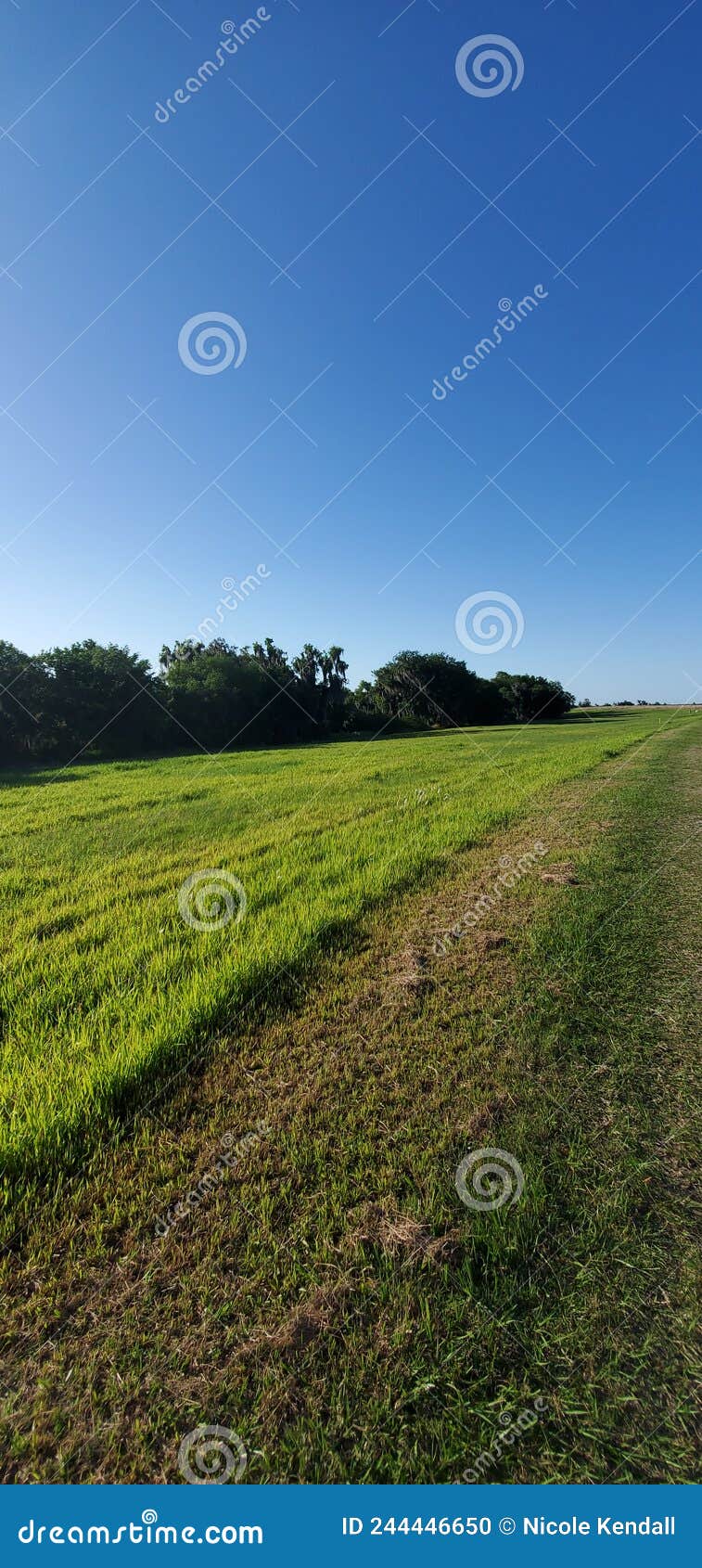 Panther Point Trail stock photo. Image of soil, horizon - 244446650