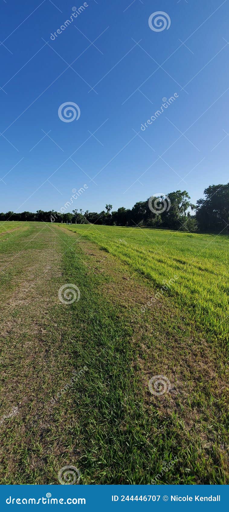 Panther Point Trail stock image. Image of field, plain - 244446707