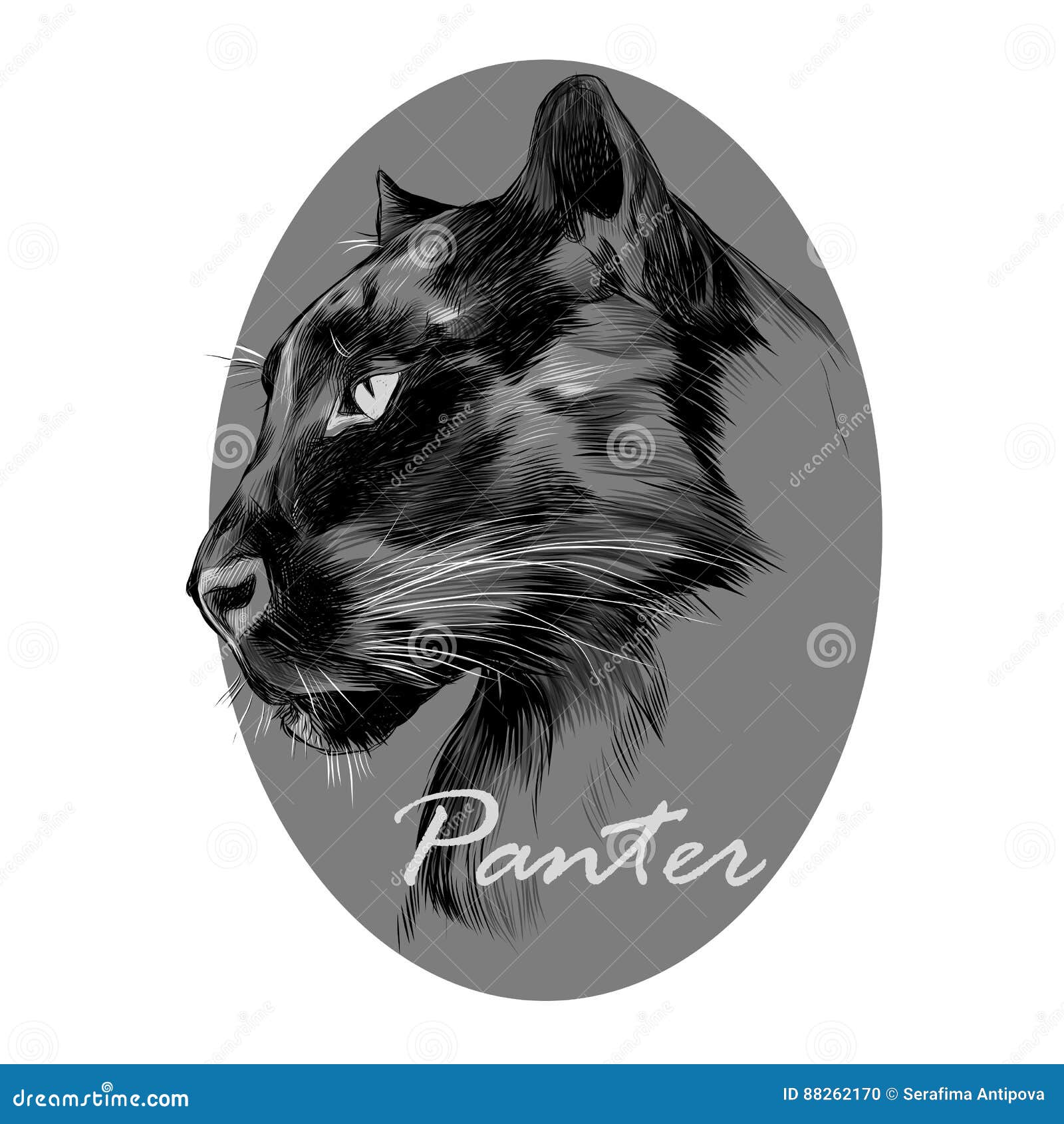 Panther Profile Head Black And White Vector Emblem | CartoonDealer.com ...