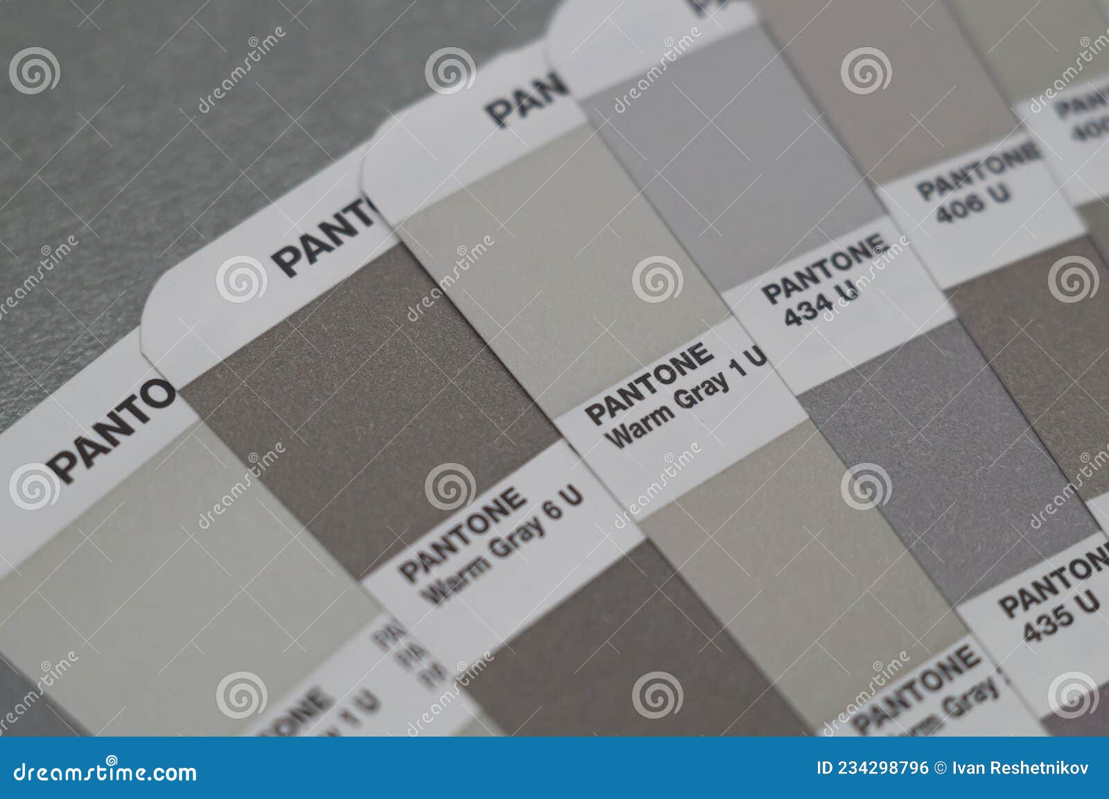 Pantone Color Chart Grey